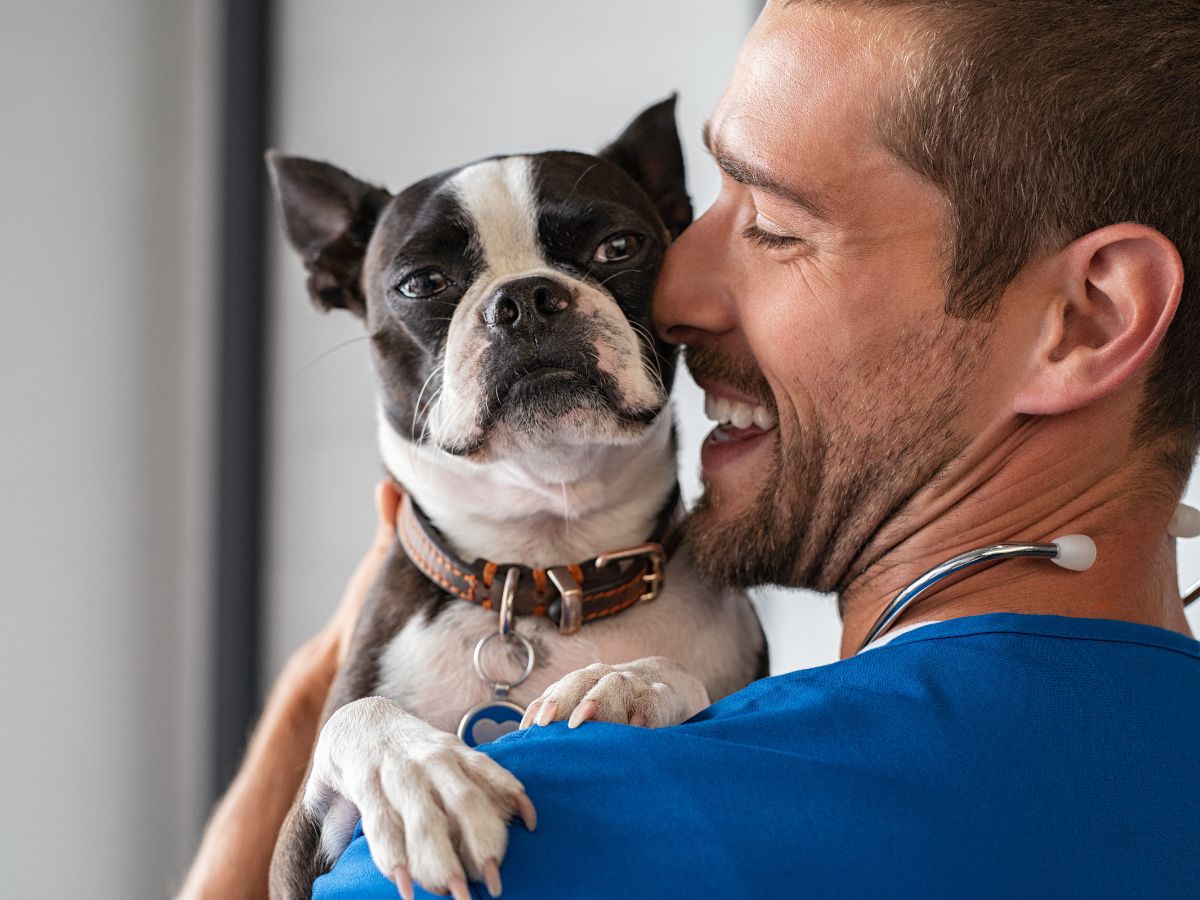 Mayfield, OH Veterinary Jobs | Village Veterinary Clinic